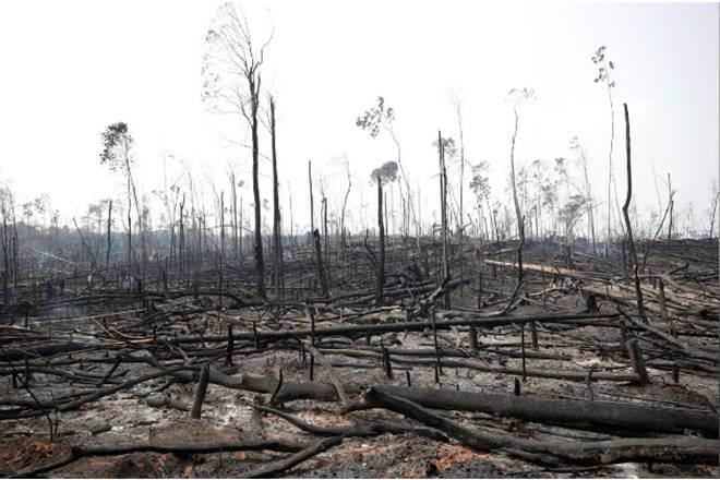 Climate action must focus on desertification - Opinion News | The ...