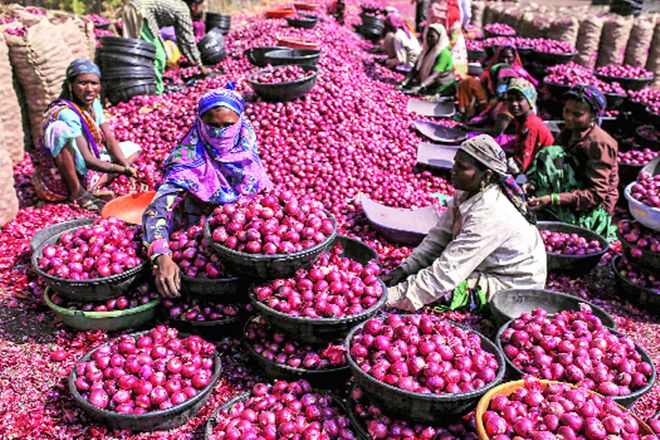Rising onion prices: Govt bans exports, imposes stock limits - Economy News | The Financial Express