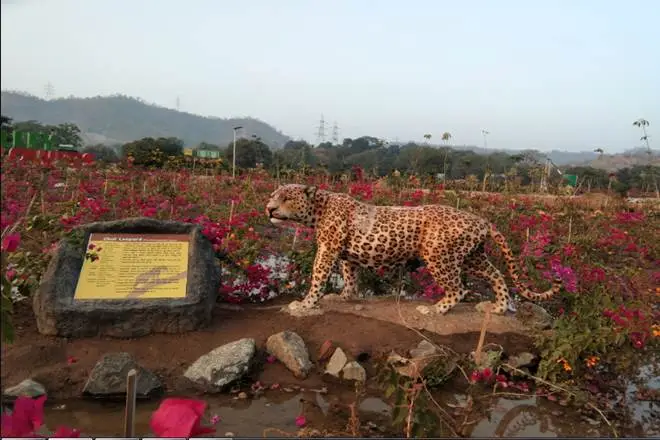 Statue of Unity Safari: Animals from 17 countries including lions ...