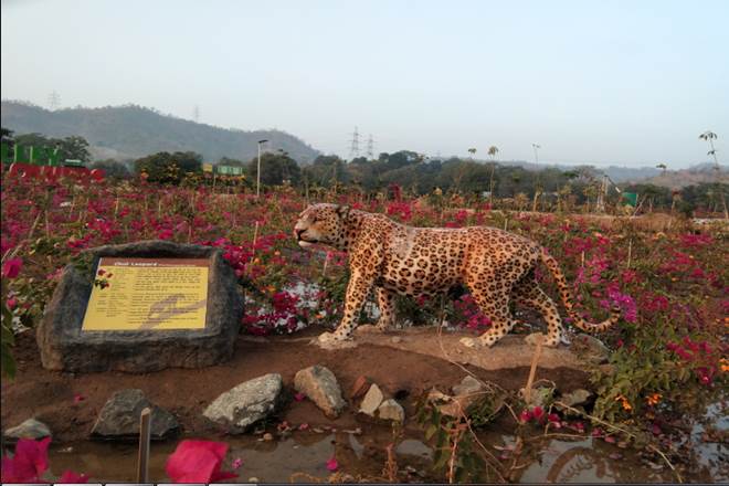 Statue of Unity Safari: Animals from 17 countries including lions ...