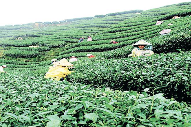 NCLAT sets aside tribunal order to begin insolvency process against ...