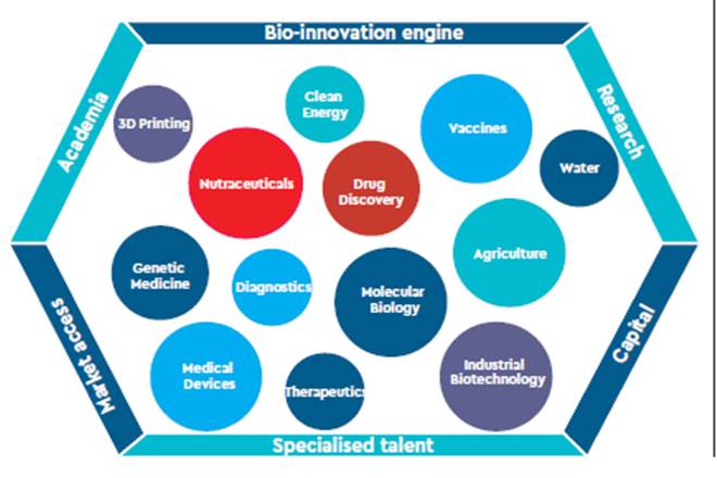 Essential for India to develop an innovation ecosystem that can ...