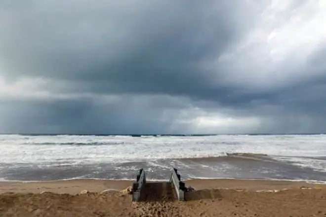 Global warming causes rise in sea temperature! World’s oceans were the ...