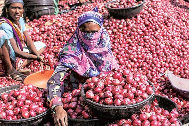 Govt to allow onion export from March 15 - Economy News | The Financial Express