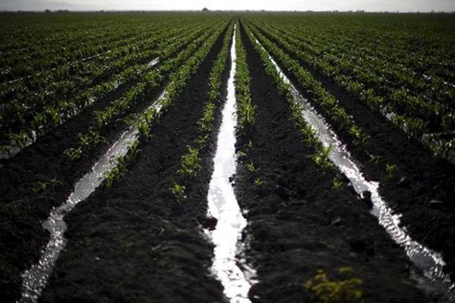 Debt Rejigging: Jain Irrigation wants easier payment terms - Industry ...