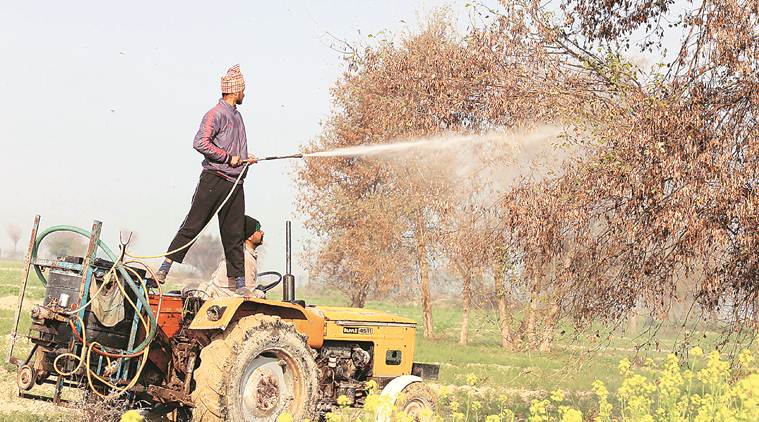Government’s locust control policy focuses on chemical spray alone ...
