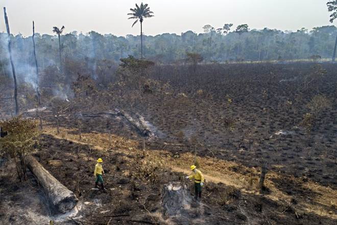 Amazon rainforest is still burning in 2020 despite promises to save it ...