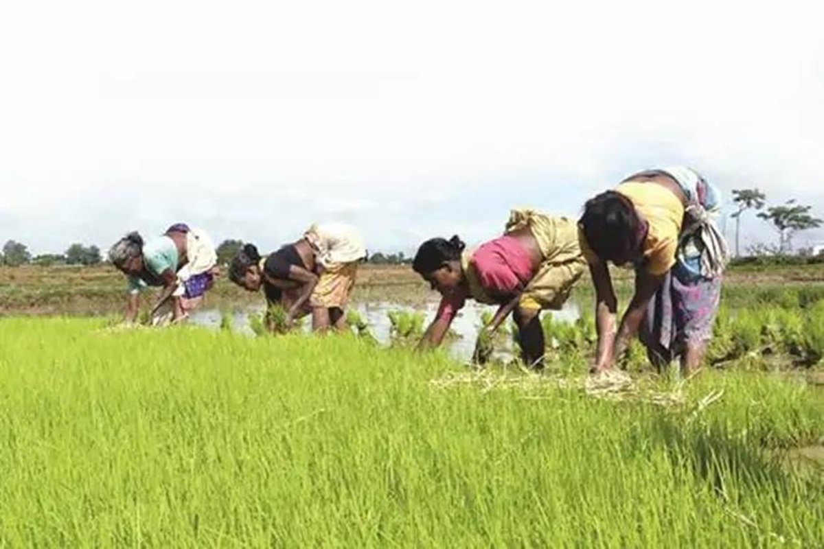 Farm Bills row: Tomar rules out legal backing for MSPs - Economy News ...