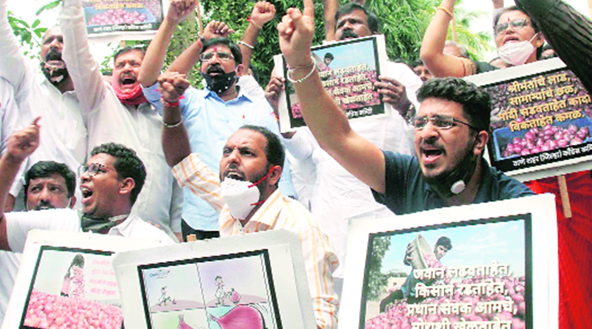 Why govt bans onion exports? Check dramatic rise in onion prices, exports during pandemic ...