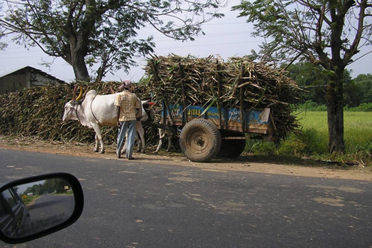 Rural tourism projects underway in Bihar, Kerala: Tourism Minister ...