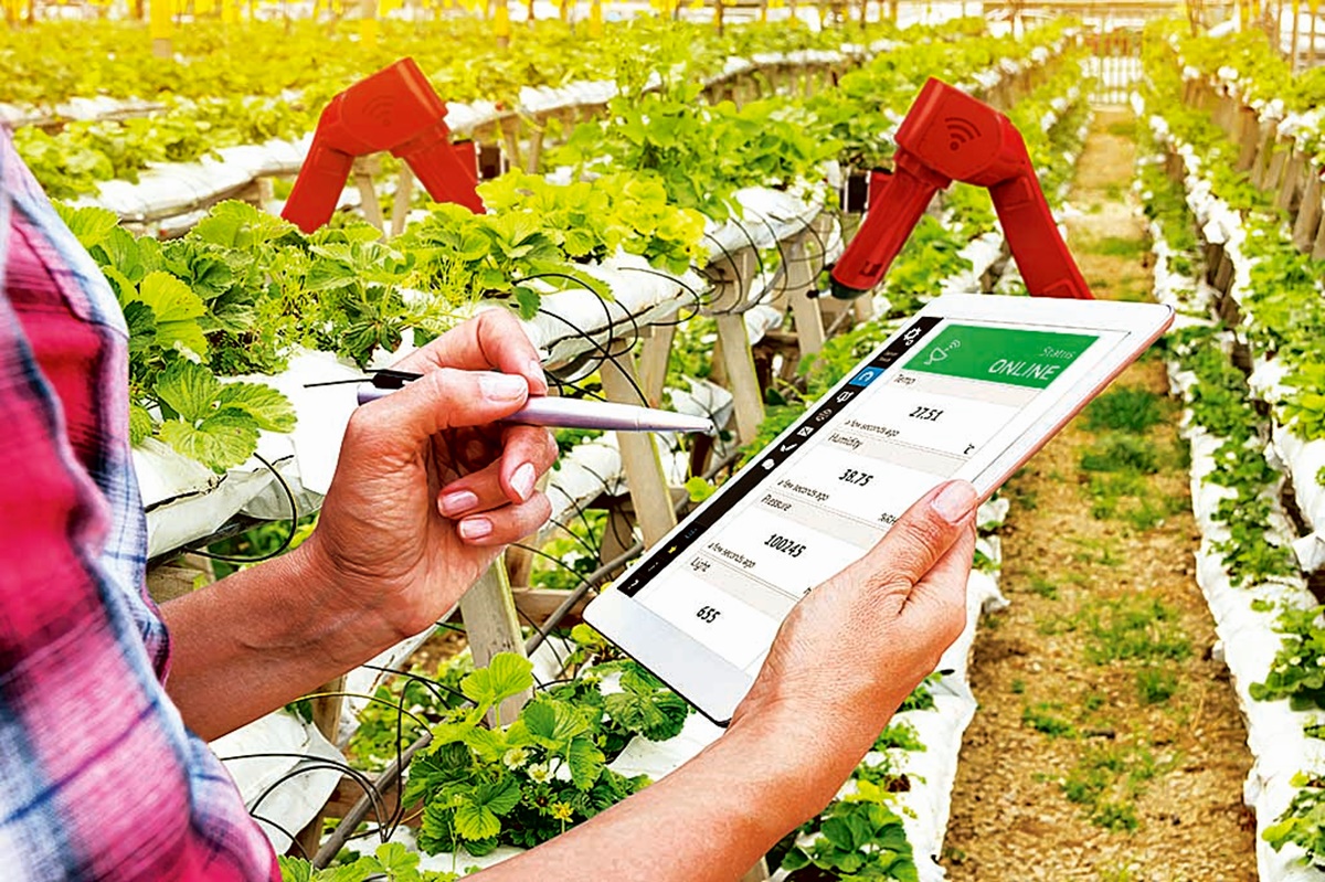 Digital Agriculture: Why we need to digitally enable farm policies ...