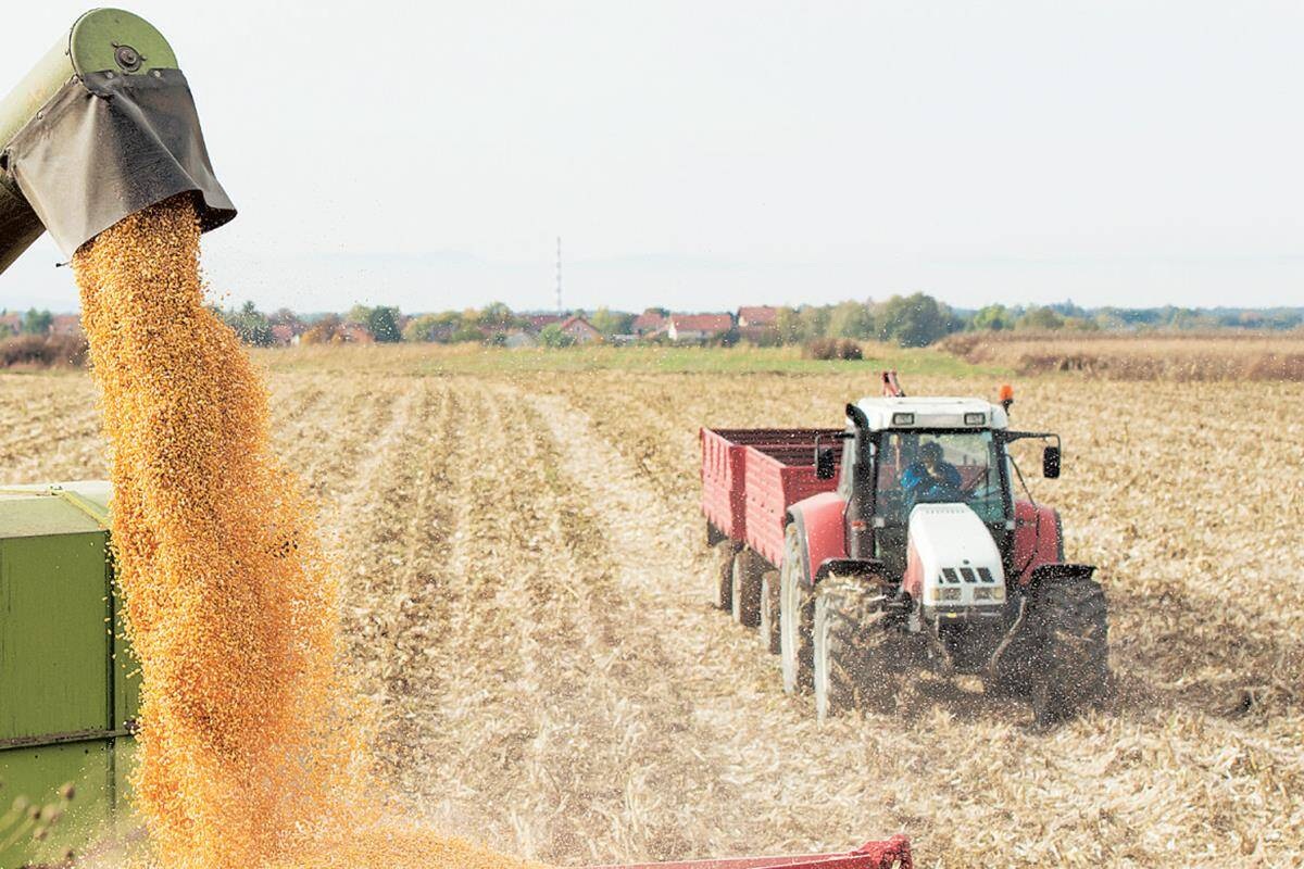 Digital agri-trading: Sowing the seeds of growth - Opinion News | The ...