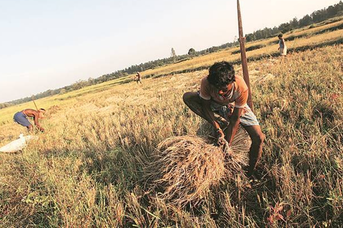 India’s path out of rural distress - Opinion News | The Financial Express