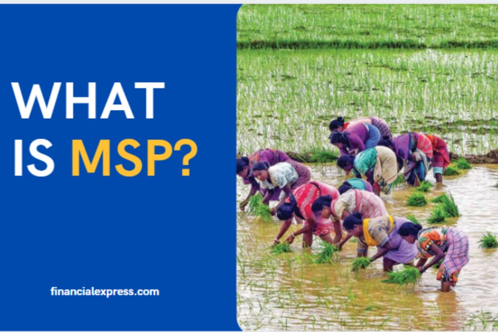What is Minimum Support Price (MSP)? - What is News | The Financial Express