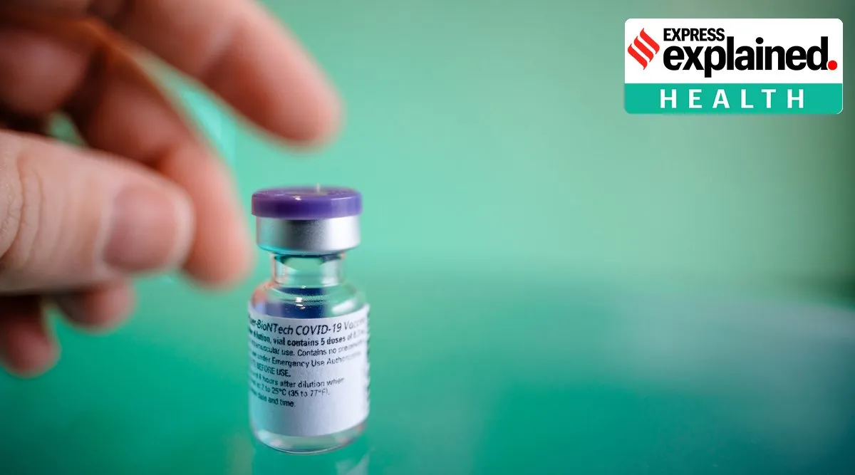 Pfizer COVID-19 vaccine faces last hurdle before US decision - Life ...