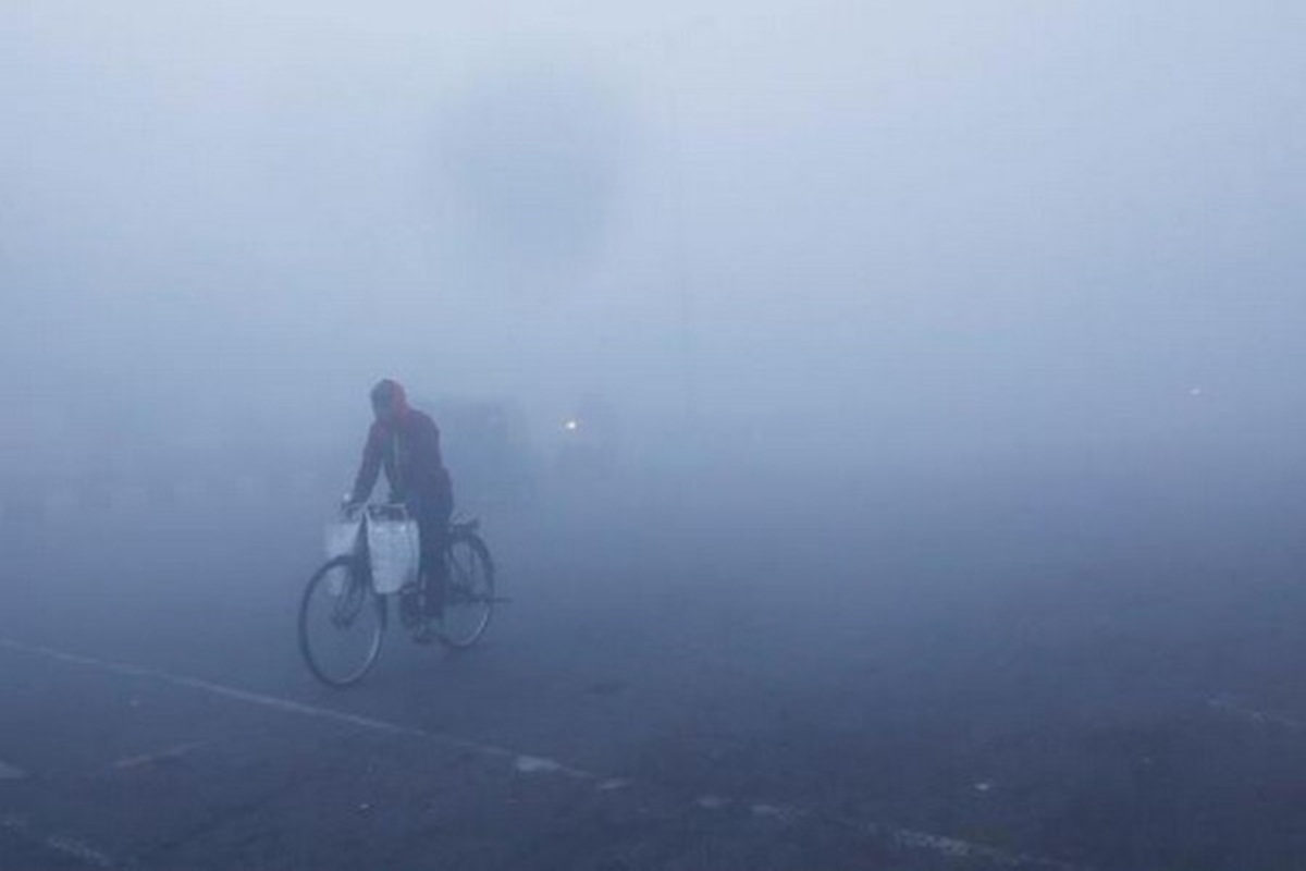 Delhi braces for cold wave in run-up to New Year - Science News | The ...