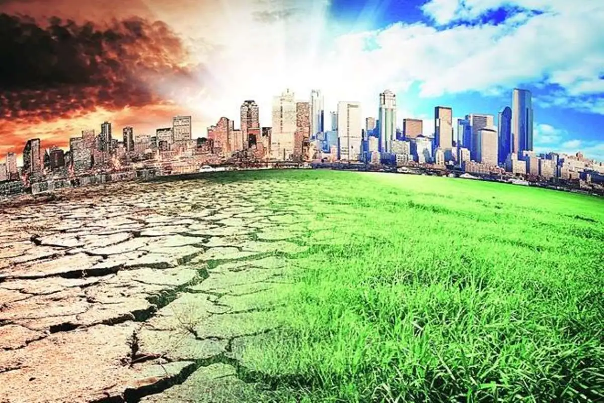 2020 was one of three warmest years on record: World Meteorological ...