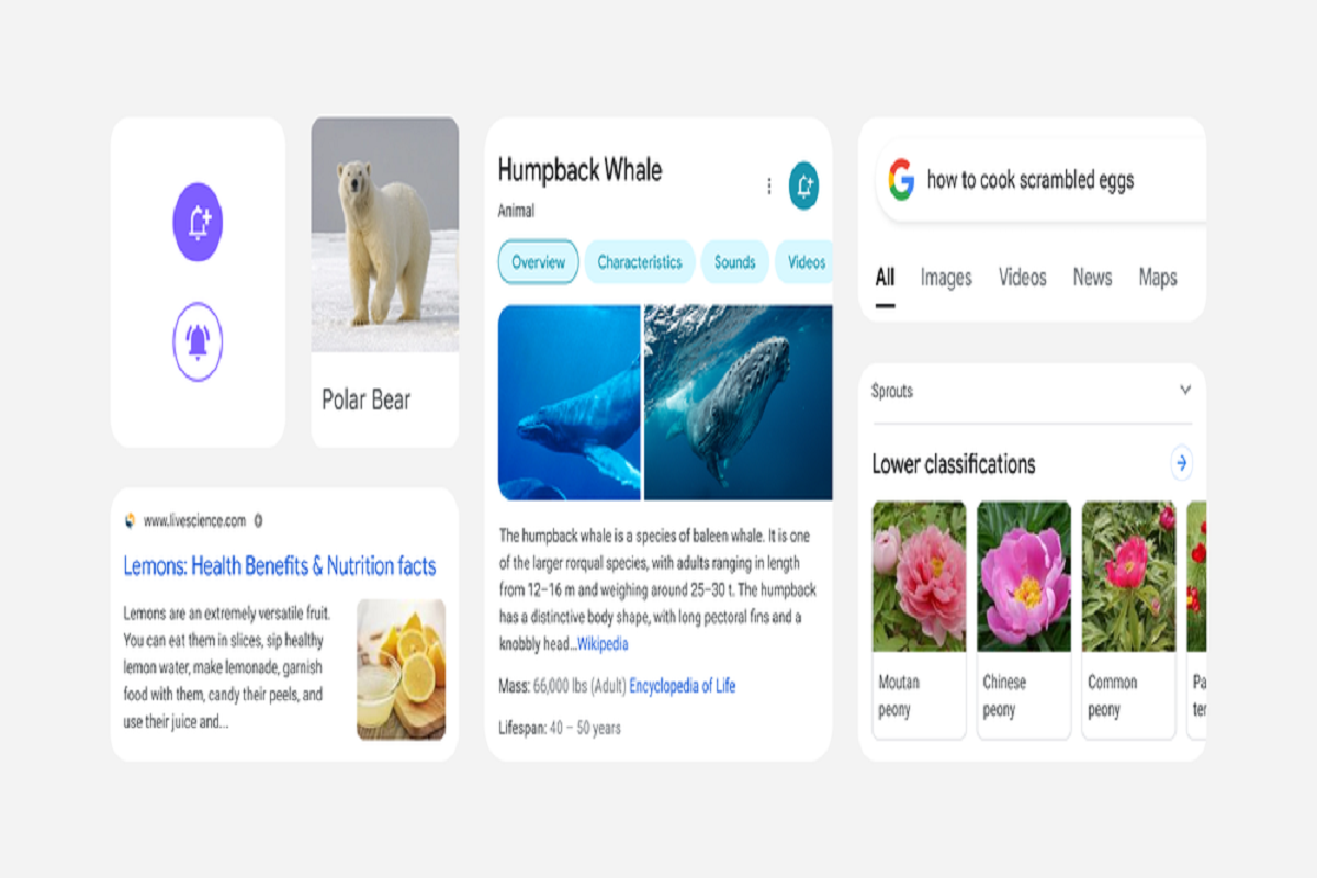 Google Search on mobile set to get redesign with big focus on ...
