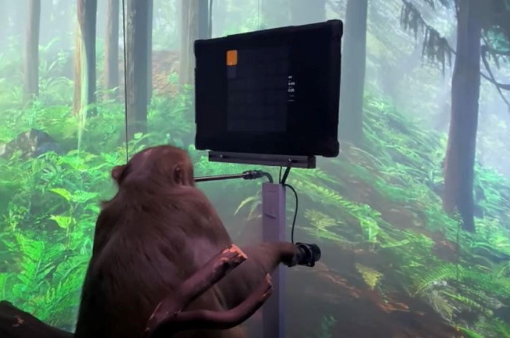 Elon Musk-backed Neuralink releases video of monkey playing video game ...