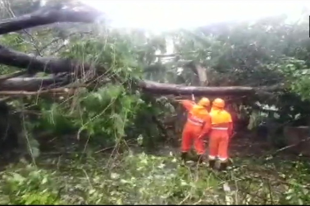 Cyclone Tauktae: Power supply to be restored in entire Goa by May 19 ...