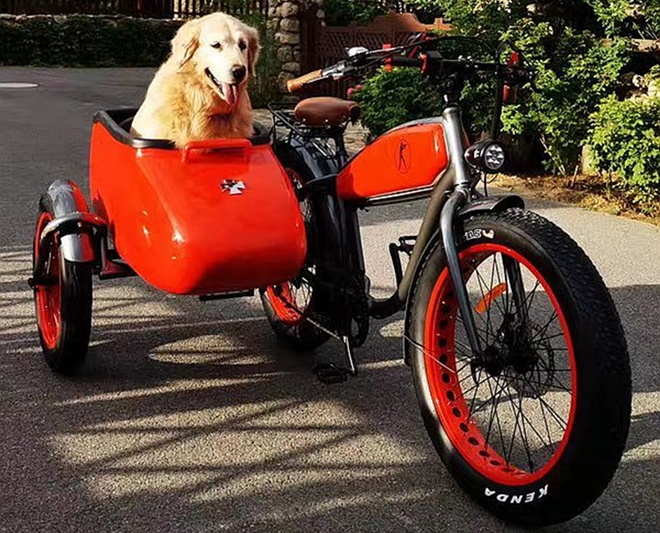China’s weird and fun EV market: Sidecar-mounted electric bike under Rs ...