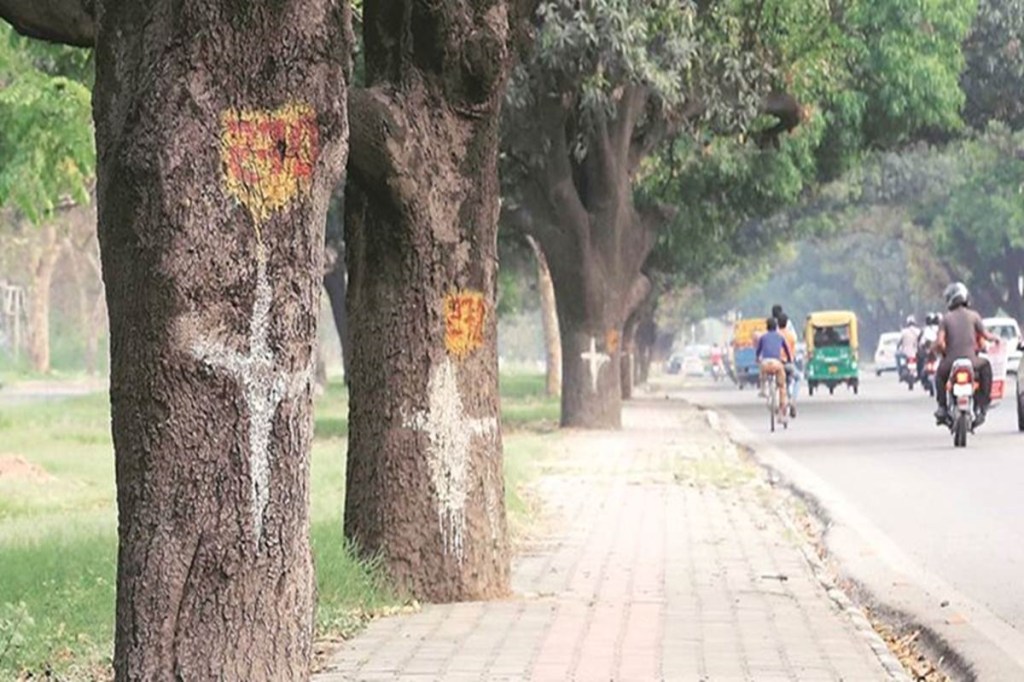 Kudos! IIIT Hyderabad researchers develop tool to count trees, generate ...