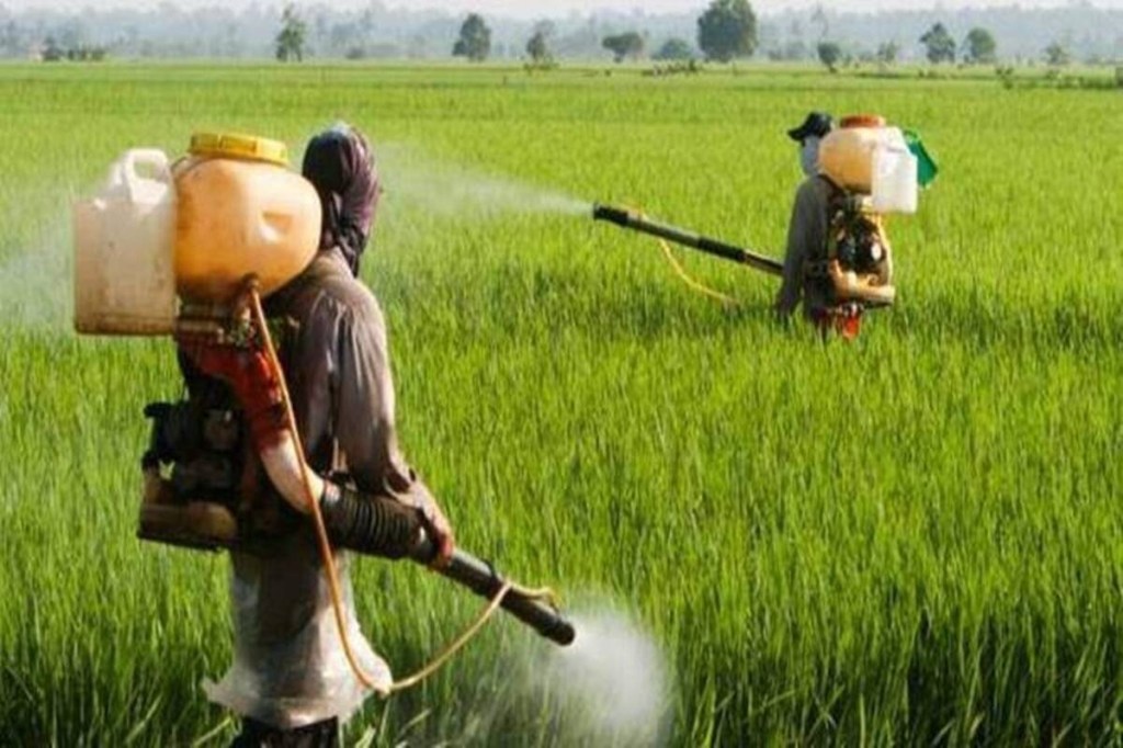Agriculture minister recommends judicious use of chemicals in ...