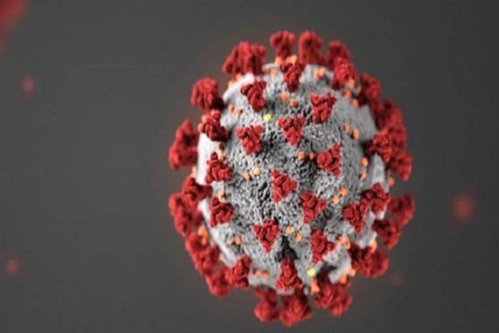 Covid pandemic caused biggest decrease in life expectancy since World War II: Oxford study ...