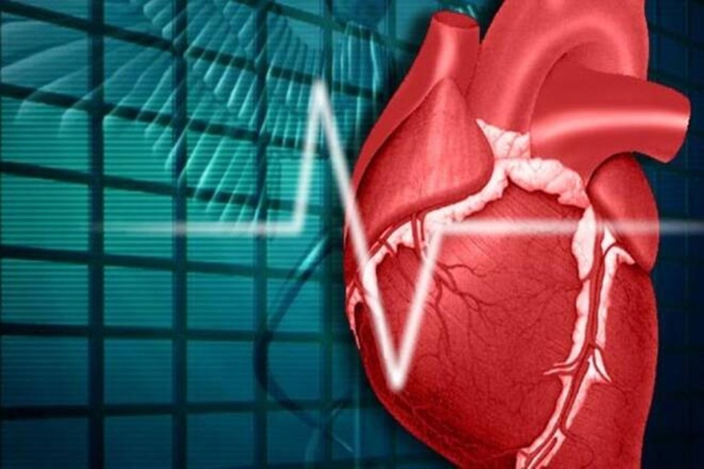 World Heart Day Importance Of Taking Care Of Your Heart More Than Ever world-heart-day-importance-of-taking-care-of-your-heart-more-than-ever