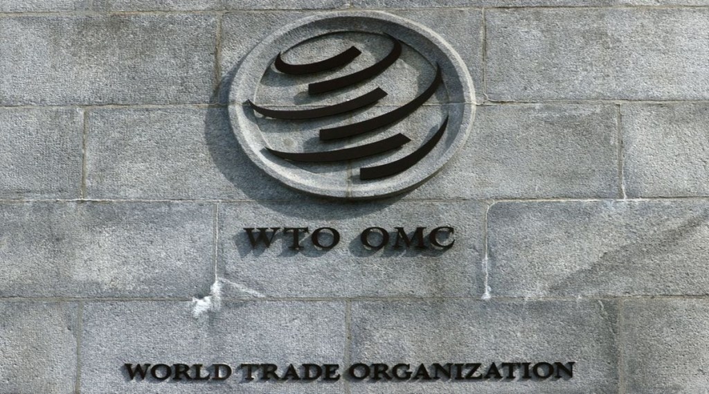 WTO General Council discusses India’s call for holding virtual ...