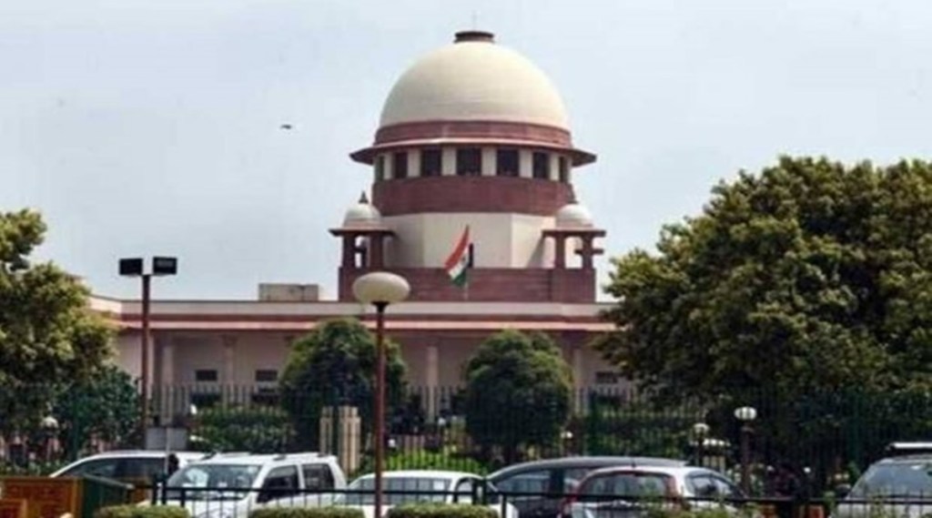 Constitutional courts can’t assume role of appellate authority in cases ...