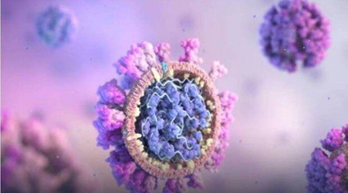 ‘Cold virus’ behind 100,000 child deaths globally in 2019: Lancet study ...