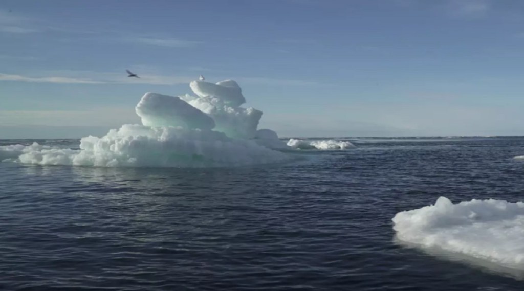 Arctic heating up four times faster than global warming: Study ...