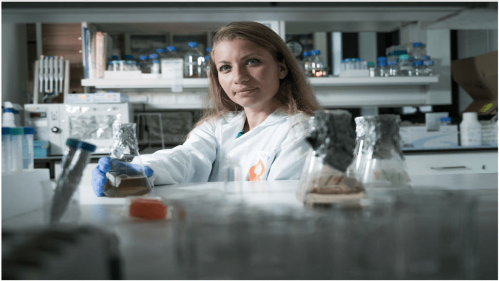 Phytochemicals from Broccoli may work against antibiotic-resistant ...