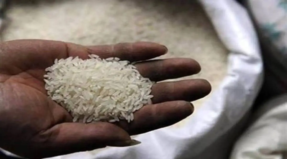 India defends its decision to ban rice, wheat exports at WTO - Economy ...