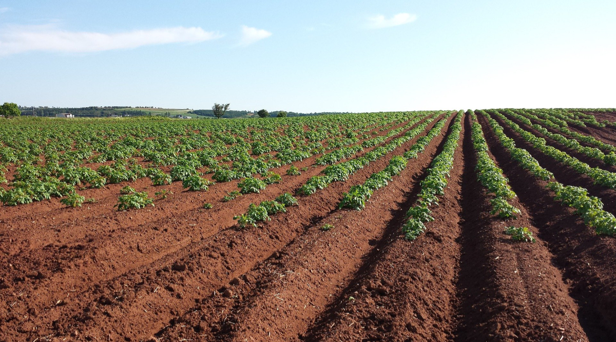 Farm Ecology: Startups enhancing soil health to increase agri ...