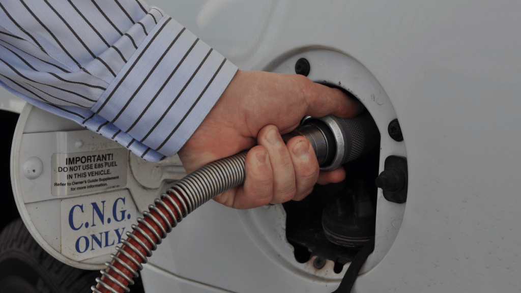 Auto Inc sees renewed demand from customers for CNG vehicles - Express ...