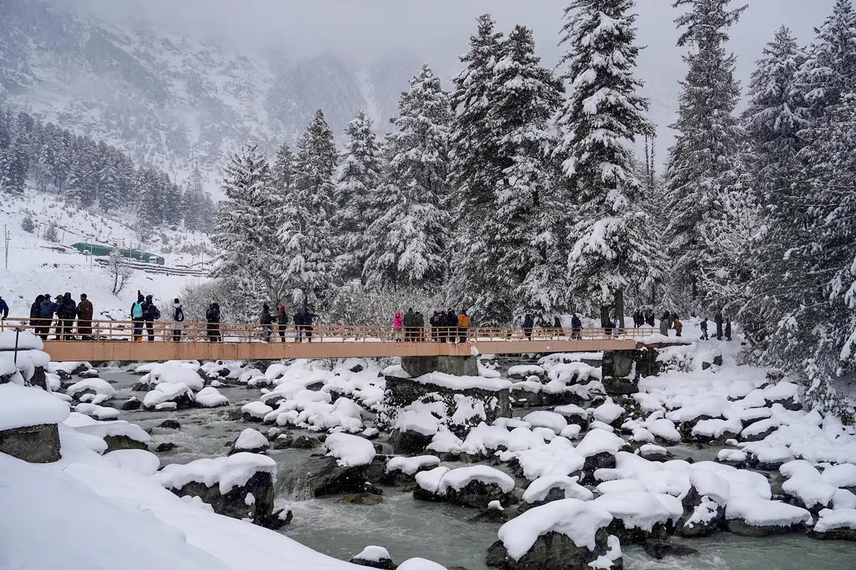 Visual Treat! Snow-covered Kashmir turns winter wonderland, attracts ...