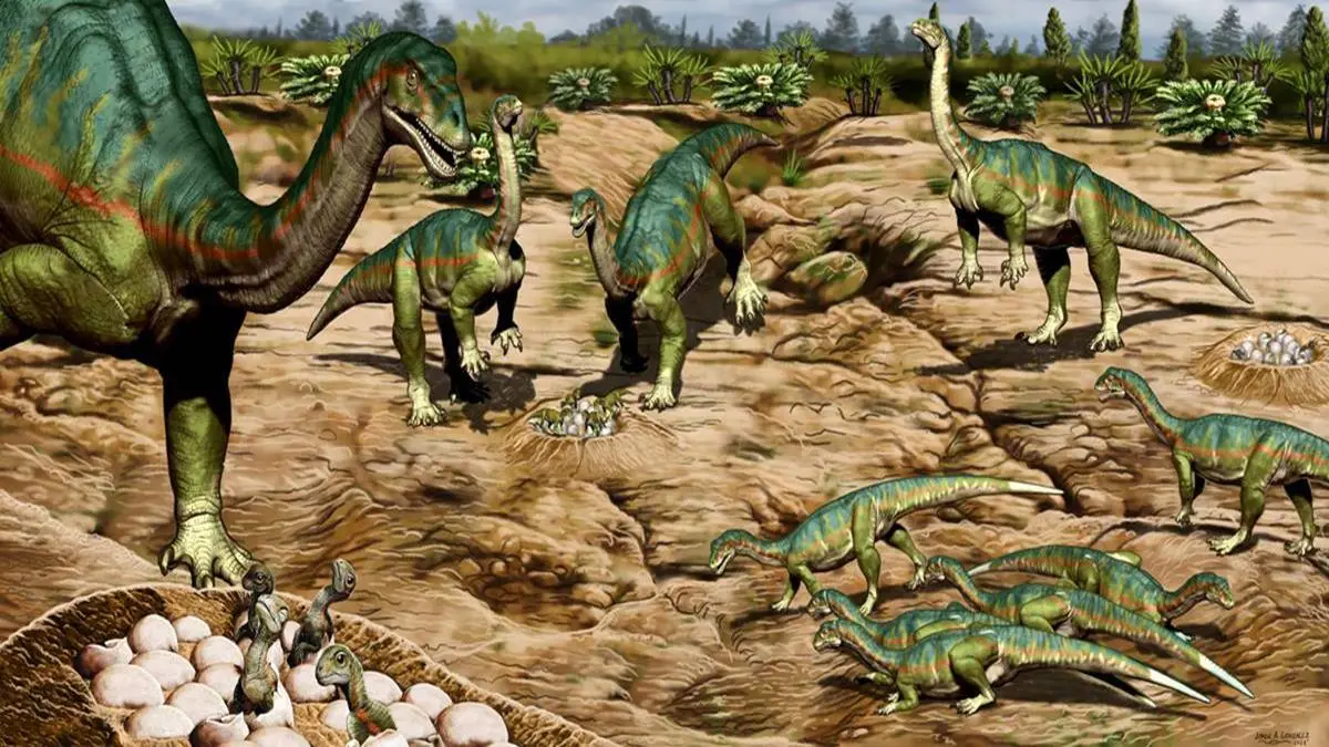 Over 90 dinosaurs fossil nests unearthed in central India, here’s what ...