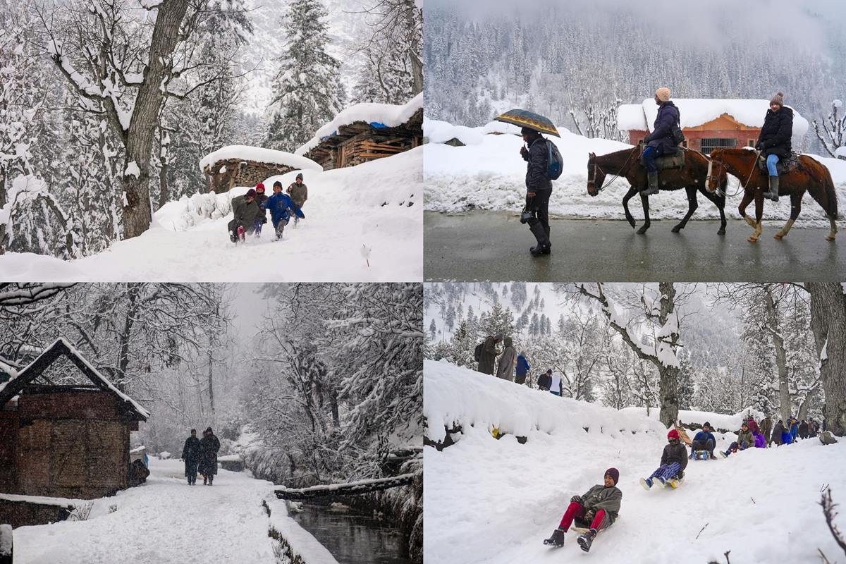 Visual Treat! Snow-covered Kashmir turns winter wonderland, attracts ...