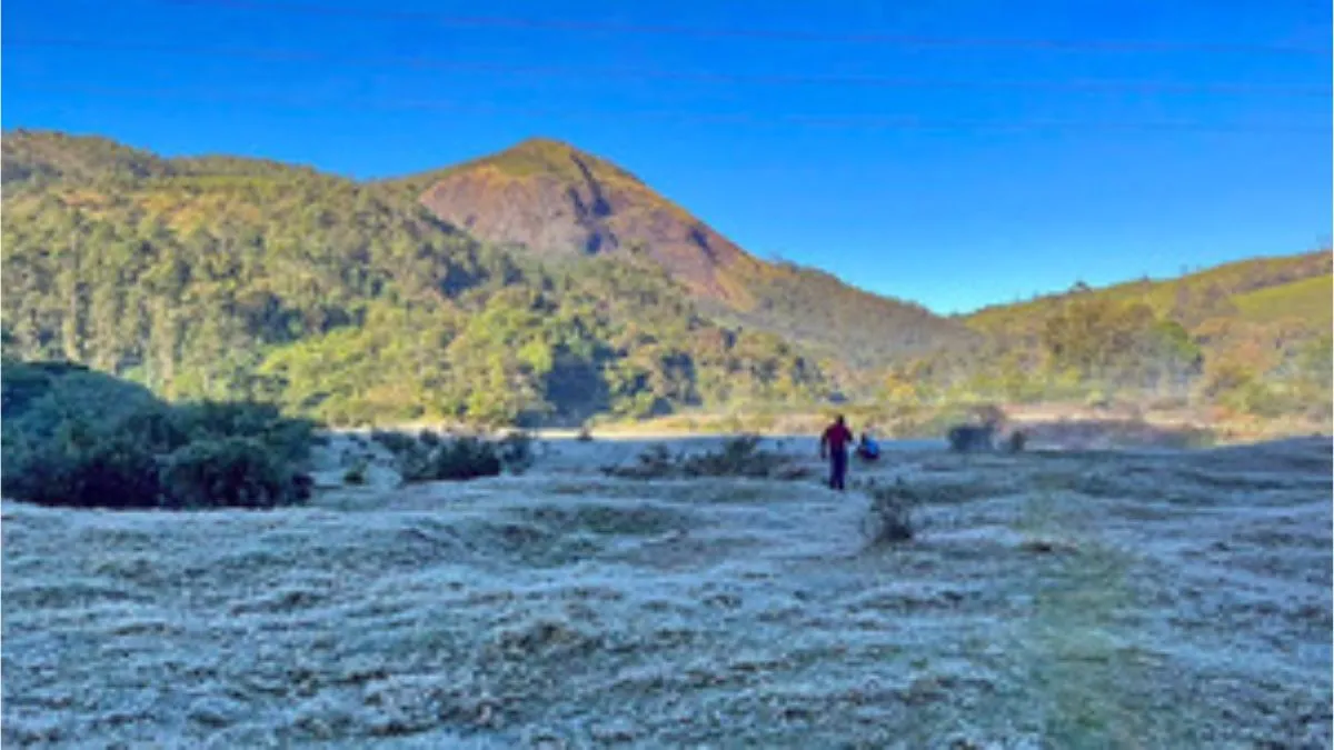 Wrapped in fog, Kerala’s Munnar woos travel buffs - Travel & Tourism ...