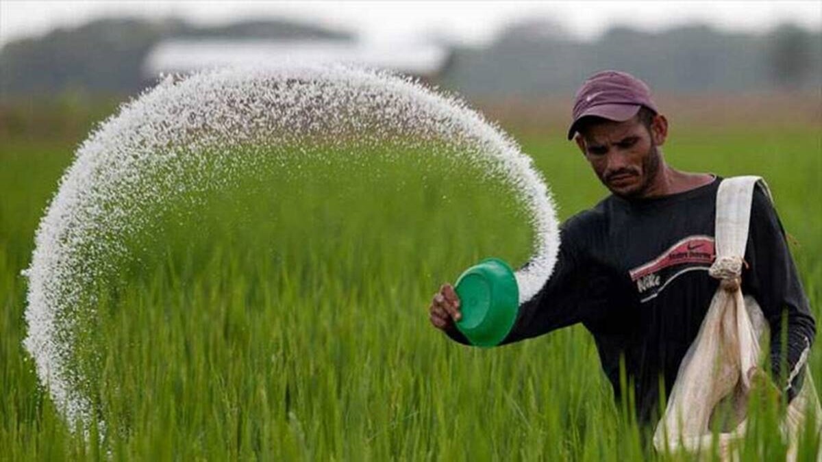 Govt to launch nano-DAP, SSP-urea mix this year - Economy News | The ...