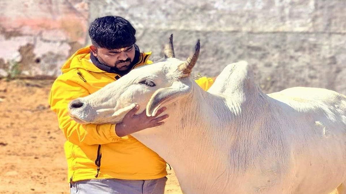 Who is Monu Manesar, Bajrang Dal leader and cow vigilante at centre of ...