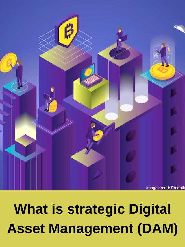 Importance of digital assets