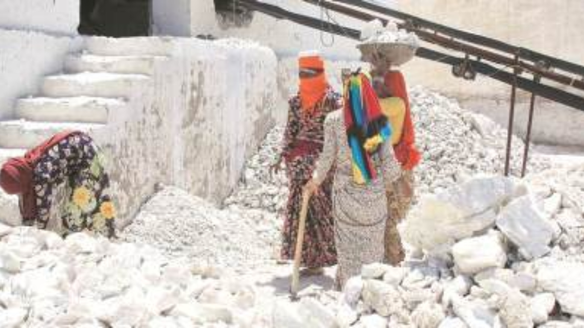 The case of female labour force participation - Opinion News | The ...