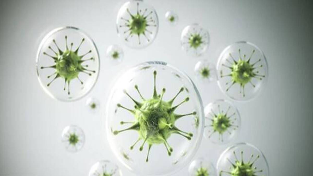 First case of H3N2 influenza detected in Assam - Healthcare News | The Financial Express