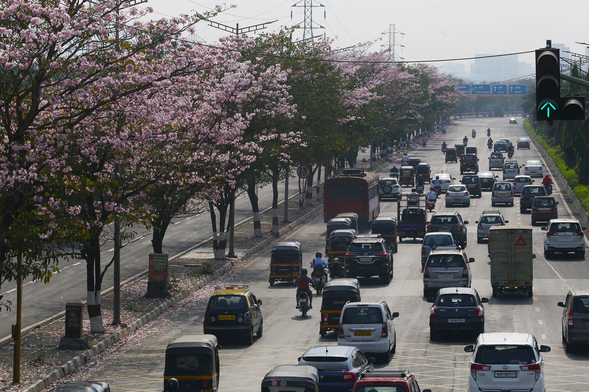 Mumbai turns Pink! Vikhroli stretch of Eastern Express Highway ...