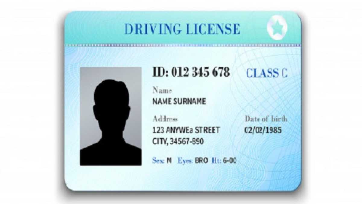 How to apply for a driving license online - news | The Financial Express