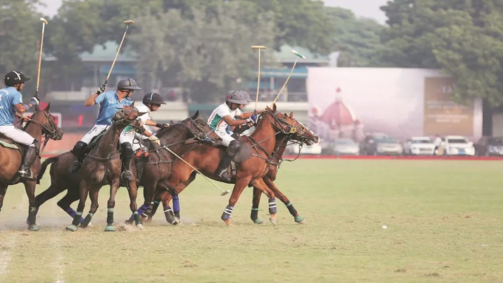 Polo: In full swing - Sports News | The Financial Express