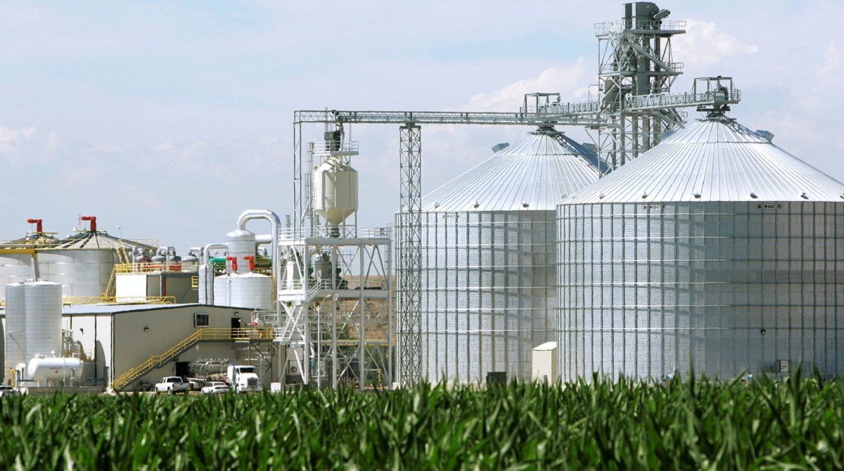 Fuelling a sustainable future: The global biofuel alliance's impact on ...